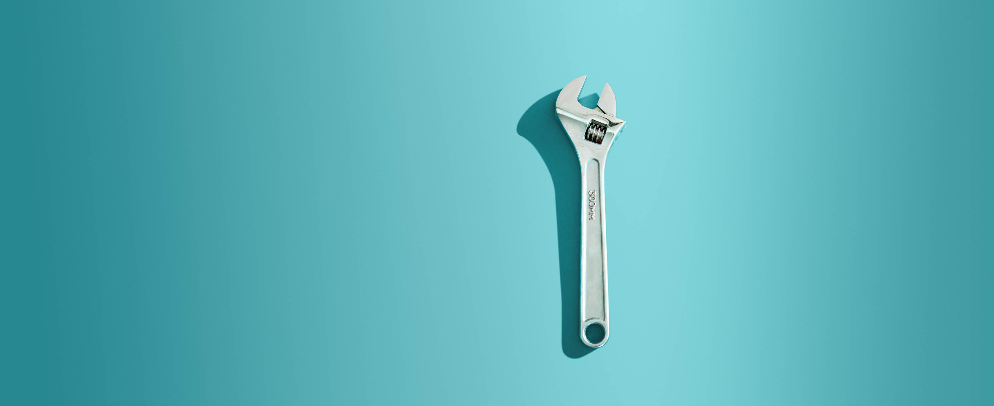 White label insurance | White label insurance solutions | iptiQ